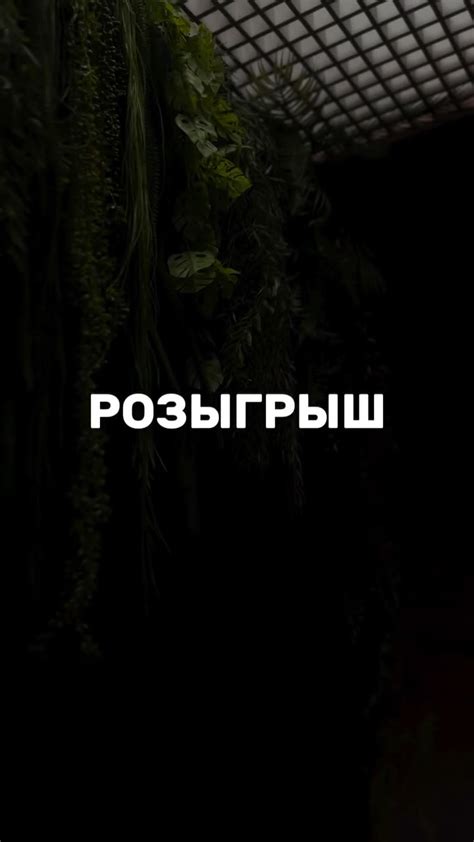 𝗦𝗛𝗧𝗨𝗞𝗔 • 𝗗𝗝 𝗕𝗔𝗥 • 𝗦𝗢𝗟𝗜𝗚𝗢𝗥𝗦𝗞 Дорогие друзья В преддверии праздников