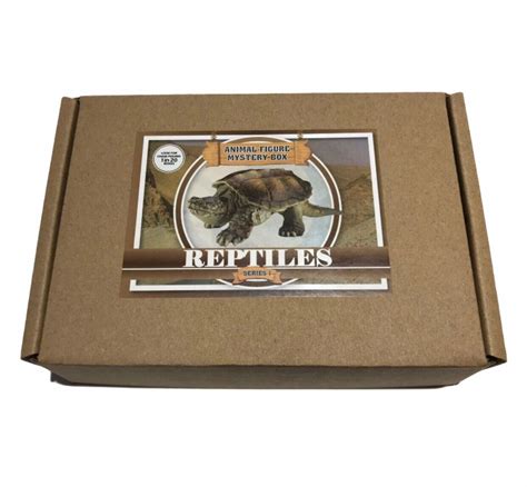 Reptile Mystery Box Etsy