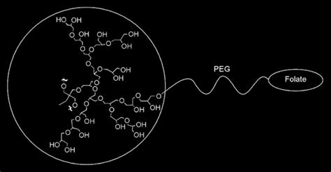 Novel Functional Hyperbranched Polyether Polyols As Prospective Drug