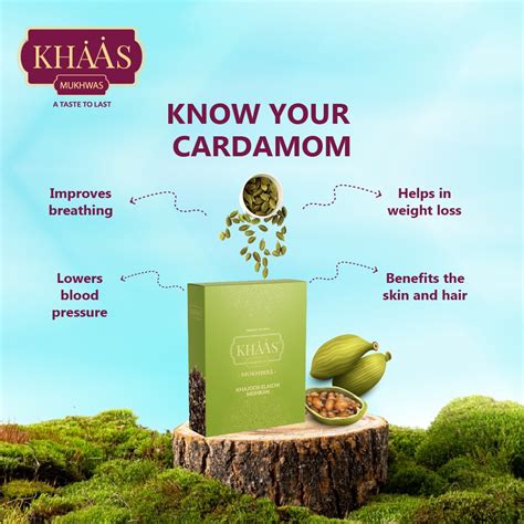 Cardamom Discover 25 Proven Health Benefits Of Elaichi