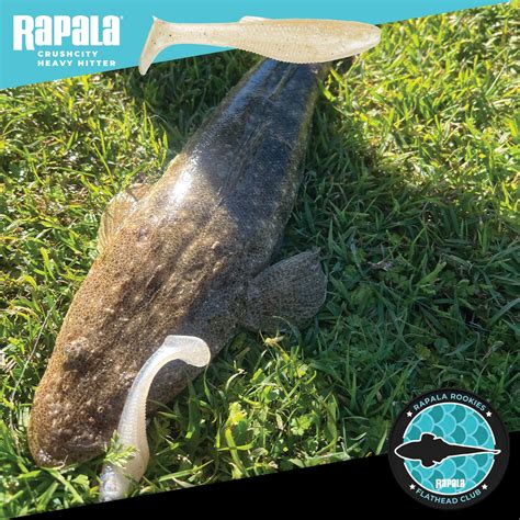 Rapala So Thats The Reason The X Rap Magnums Are So Deadly With Pre Set Depths And An Action