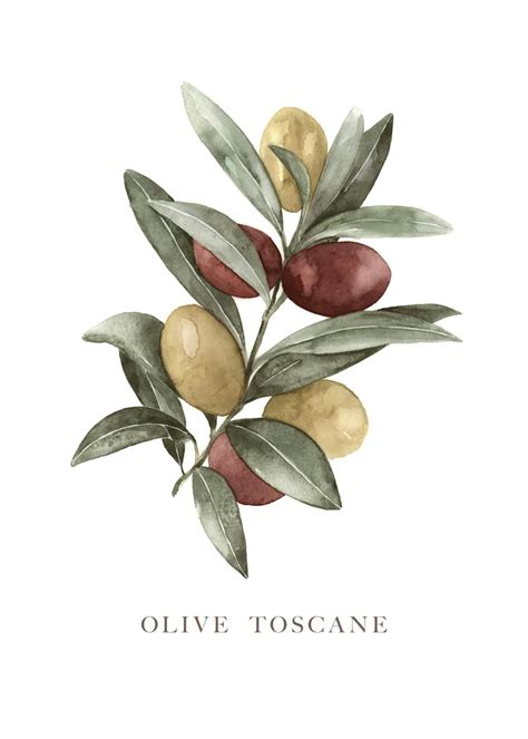 Mumin Mumintrollet Poster Med Mumin Karaktärer Poster Store Se