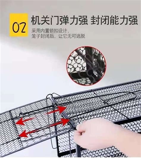 巨联 全自动捕猫笼捉猫神器大号人道救助驱赶野猫流浪猫逮猫笼抓猫神器 材质铁 55 29 29CM 融创集采商城