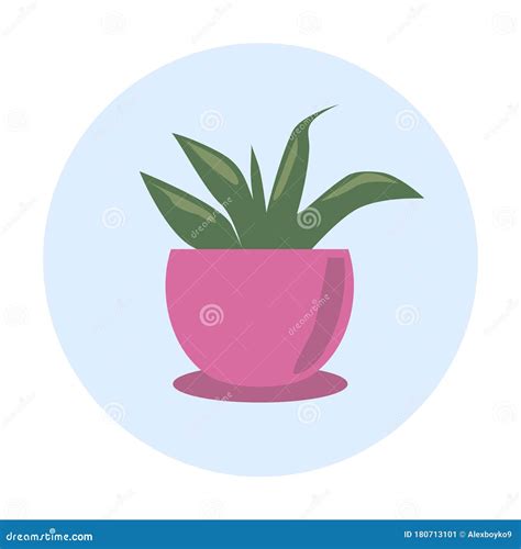 Transplanting Potted Flower Steps Vector Instruction How To Repot A