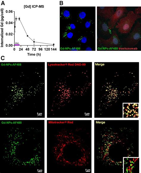 Gadolinium Based Nanoparticles Sensitize Ovarian Peritoneal