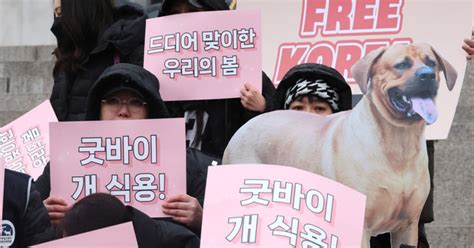 여적 개 식용 금지