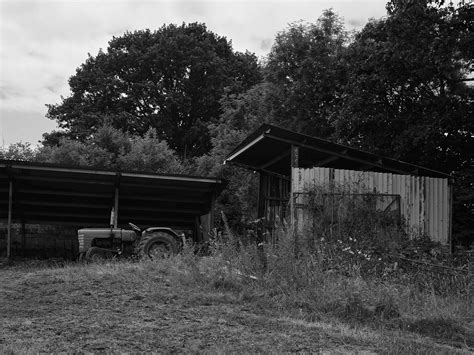 Tom Bunning Photography Fern Verrow I