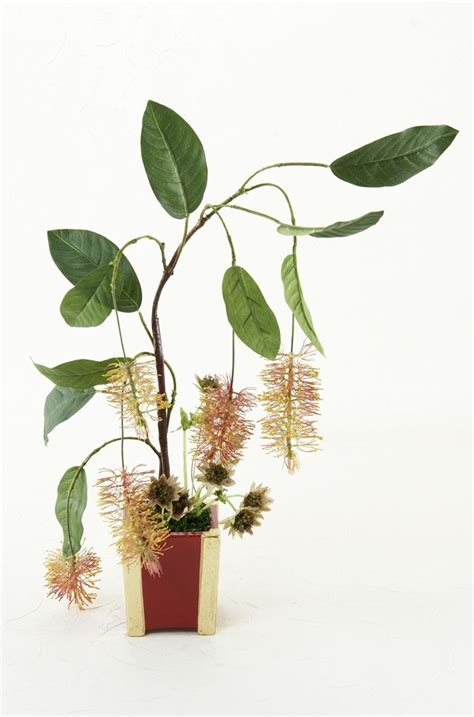 【造花・アーティフィシャルフラワー・アレンジメント】aussie Flower｜造花・アーティフィシャルフラワー専門店 あーとみゆき