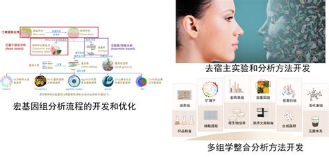 研究方向 刘永鑫课题组 生物信息与宏基因组