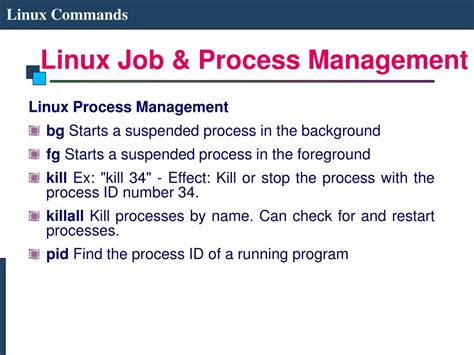 PPT Linux Filesystem Management PowerPoint Presentation Free