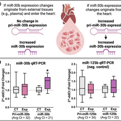 Qrt Pcr Results Showing Significantly Increased Levels Of Mature
