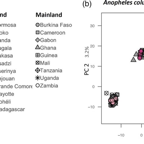 Population Structure Analysis By Pca 2d‐plot Of Anopheles Gambiae A