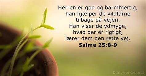 Salme 25 8 9 Bibelvers