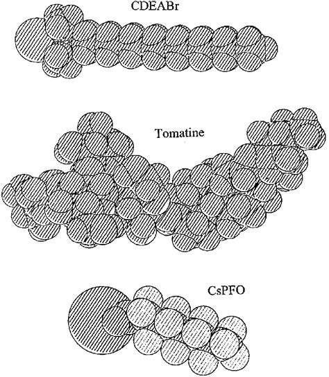 16 Sterical Models Of The Surfactants Hexadecyldimethylethylammonium