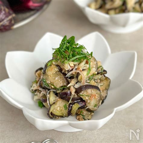 【定番かんたん副菜】簡単ご飯がすすむ！【塩もみ薬味なす】 レシピサイトnadia