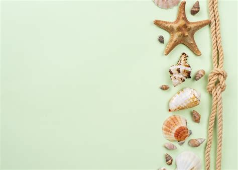 Чистый лист бумаги с ракушками Бесплатно Фото