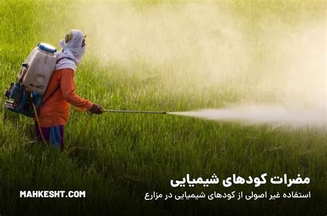 مضرات کودهای شیمیایی اصول استفاده از کود ماه کشت