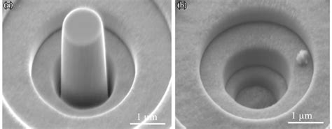 Micropillar With 1 25 µm Diameter In Dcms Grown Coating A Before And