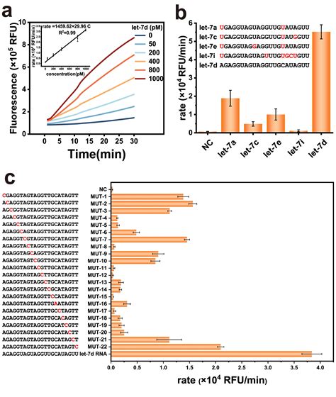A Universal Crispr Cas12a‐assisted Methodology Based On Duplex Switch Structure To Detect