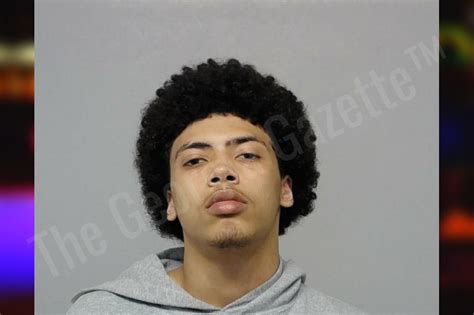 Houston The Following Arrest Has Been Updated With The Narrative