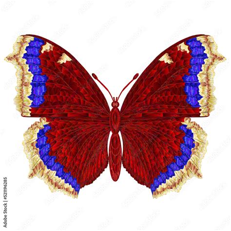 Butterfly Nymphalis Antiopa Beautiful Meadow And Forest Insect Polygons