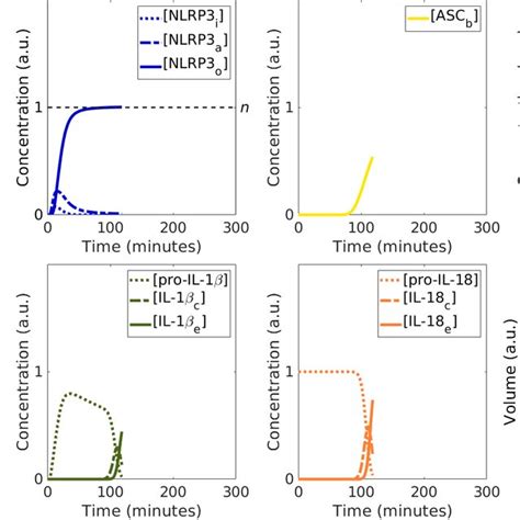 numerical simulations results of the system of odes 2 31 with