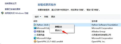 12 成功解决：no python 3 installation was detected 阿里云开发者社区