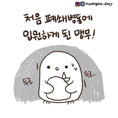 폐쇄병동 이야기 1 정신병원 첫 입원