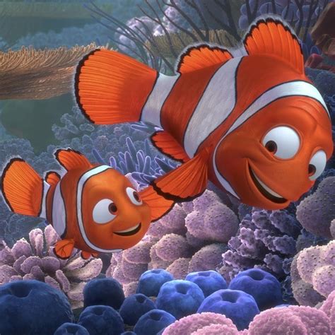 Dragan Dobrić Youtube