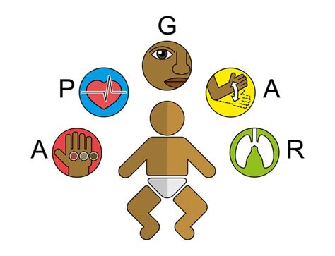 6 Apgar Test Stock Vectors And Vector Art Shutterstock 6 Apgar Test Stock Vectors And Vector Art Shutterstock
