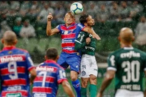Palmeiras X Fortaleza Ao Vivo Assistia Online Ao Jogo Deste Domingo