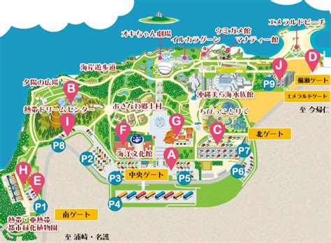 【美ら海水族館】赤ちゃん連れは要注意！？館内の注意点とお得な割引情報！1歳レビューブログ