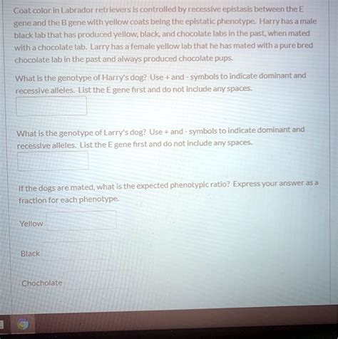 Solved Coat Color In Labrador Retrievers Is Controlled By Recessive Epistasis Between The E