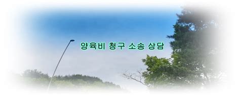 양육비 청구 소송 협의이혼할 때 친권 양육권을 가져오는 대신에 양육비를 안받기로 했으나 사정이 어려워져 포기했던 양육비 청구 소장 접수 네이버 블로그