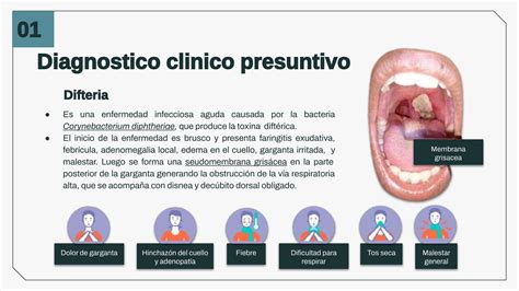 Diagrama De Difteria Difteria
