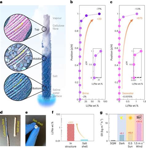 Sean Zheng On Linkedin Spatially Separated Crystallization For Selective Lithium Extraction From