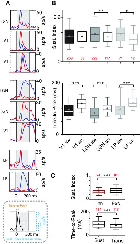 Rf Temporal Characteristics A Psths Are Shown And Illustrate The