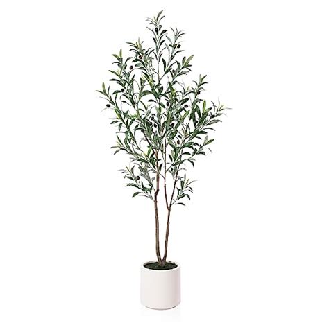 I Tested The Trendy Indoor Fake Olive Trees Heres What You Need To Know