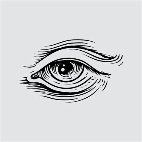Ilustración del ojo humano en estilo grabado Vector Premium