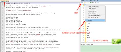 Notepad安装nppftp插件连接远程linux系统 三分魔系 博客园