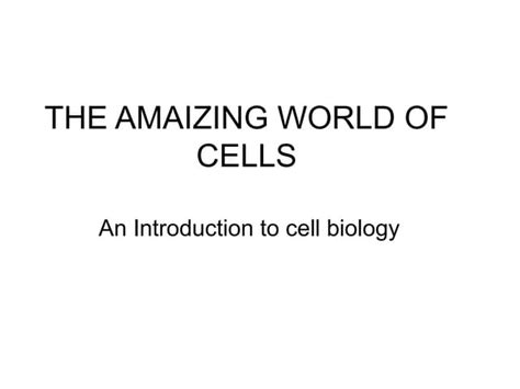 Presentation On Cell Structure And Function Ppt