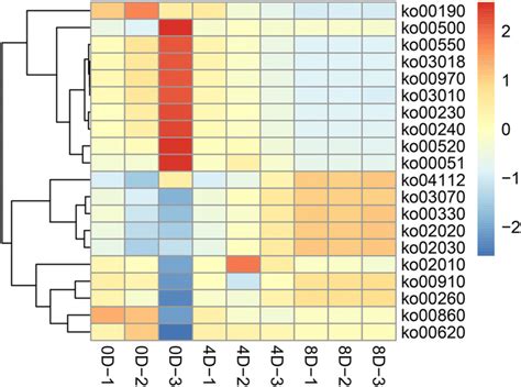 Pathway Abundance Thermal Map 20 Of The Largest Abundances Species