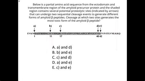 Solved Below Is A Partial Amino Acid Sequence From The