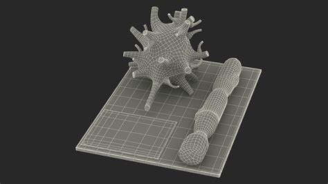 Human Neuron Model On Stand 3d Model 49 C4d Fbx Max Ma Lxo Obj
