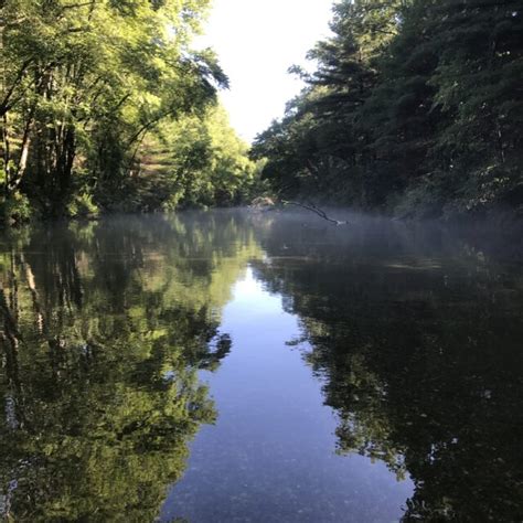Trials And Tribulations Of The Swift River