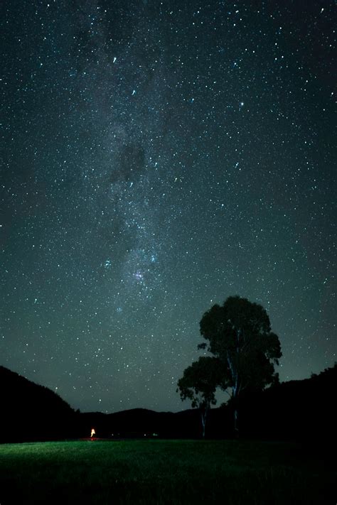 Silhouetted 나무 갤럭시 경치 고요한 고요함 남반구 맑은 하늘 반짝 반짝 빛나는 별 밤 밤 사진