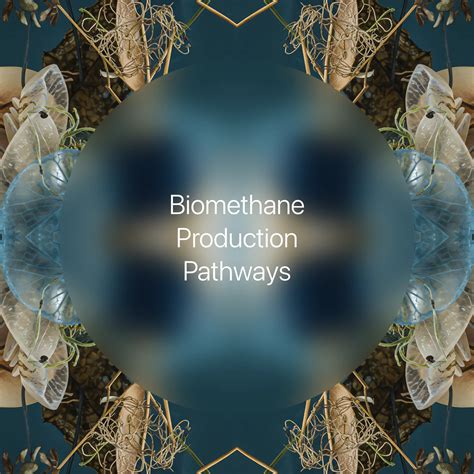 Biomethane Production Pathways → Area → Sustainability