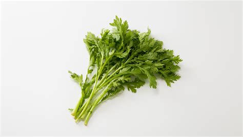 春菊 全日本薬膳食医情報協会
