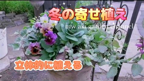 冬の寄せ植え①𖤥𖤘 立体的に植える 種まきパンビオは個性的 春が楽しみꕤ𓈒𓂂 YouTube
