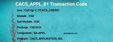 Cacsappl81 Sap Tcode For Call Up Vtcacscsd001